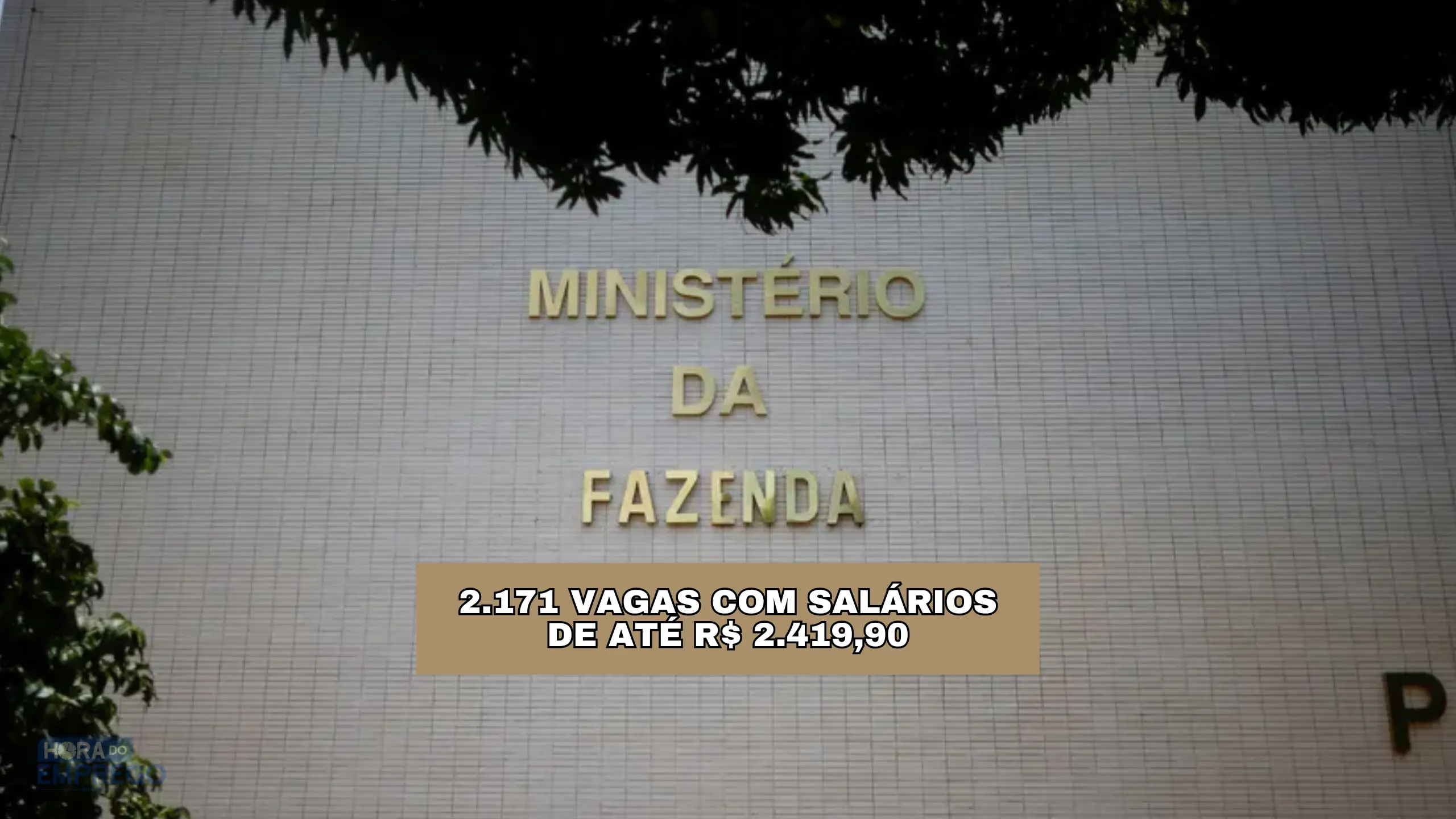 Concurso 2024: Fazenda faz pedido de concurso e é enviado com 2.171 ... Concurso 2024: Fazenda faz pedido de concurso e é enviado com 2.171 ...