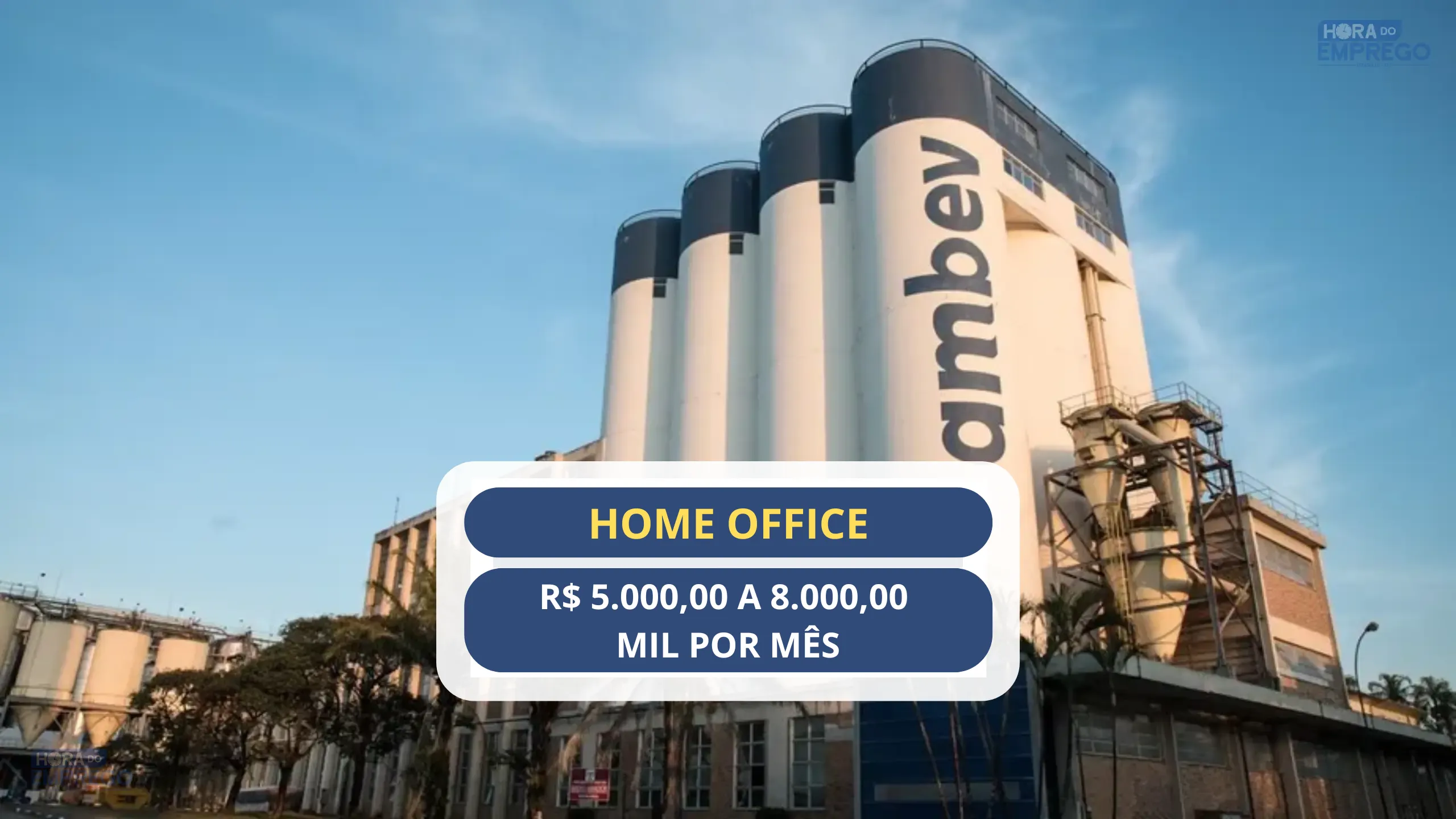 Ambev abre vaga Home Office com salários de R$ 5.000,00 a 8.000,00 mil ...